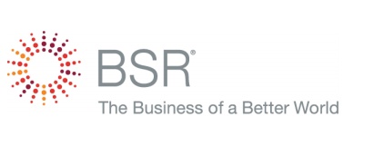 BSR Sustainable Business Survey 2013 - DealSite경제TV